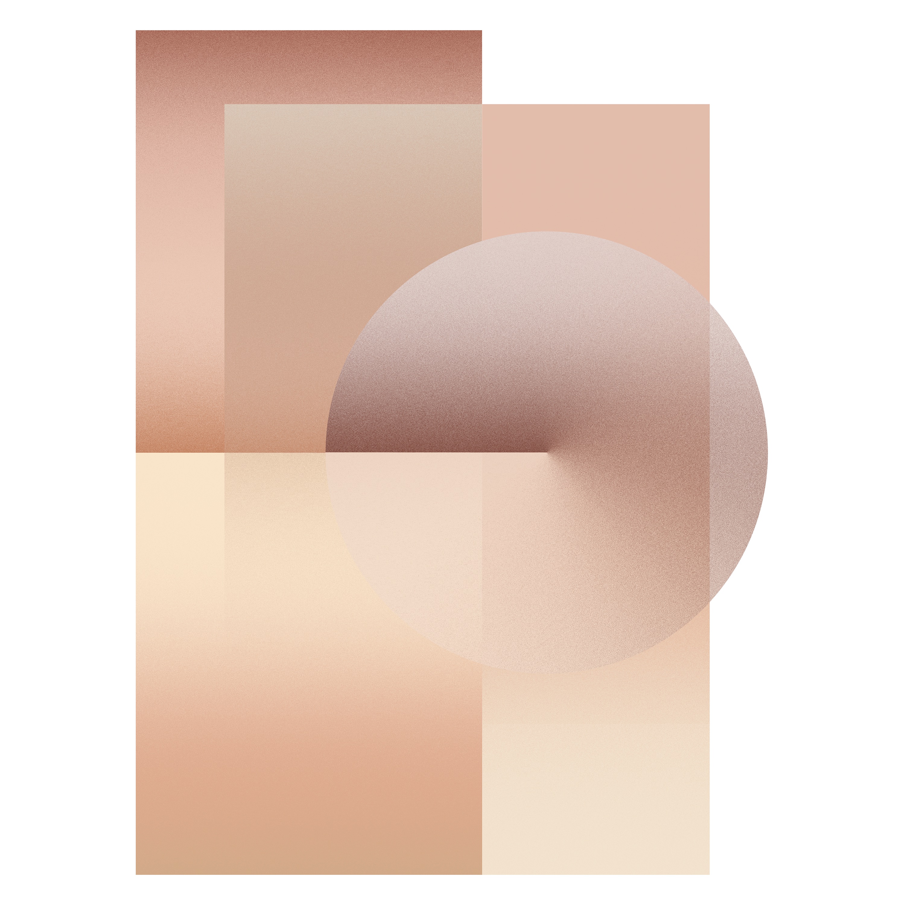 Colour Dial Carpet | Moooi Carpets | Rypen