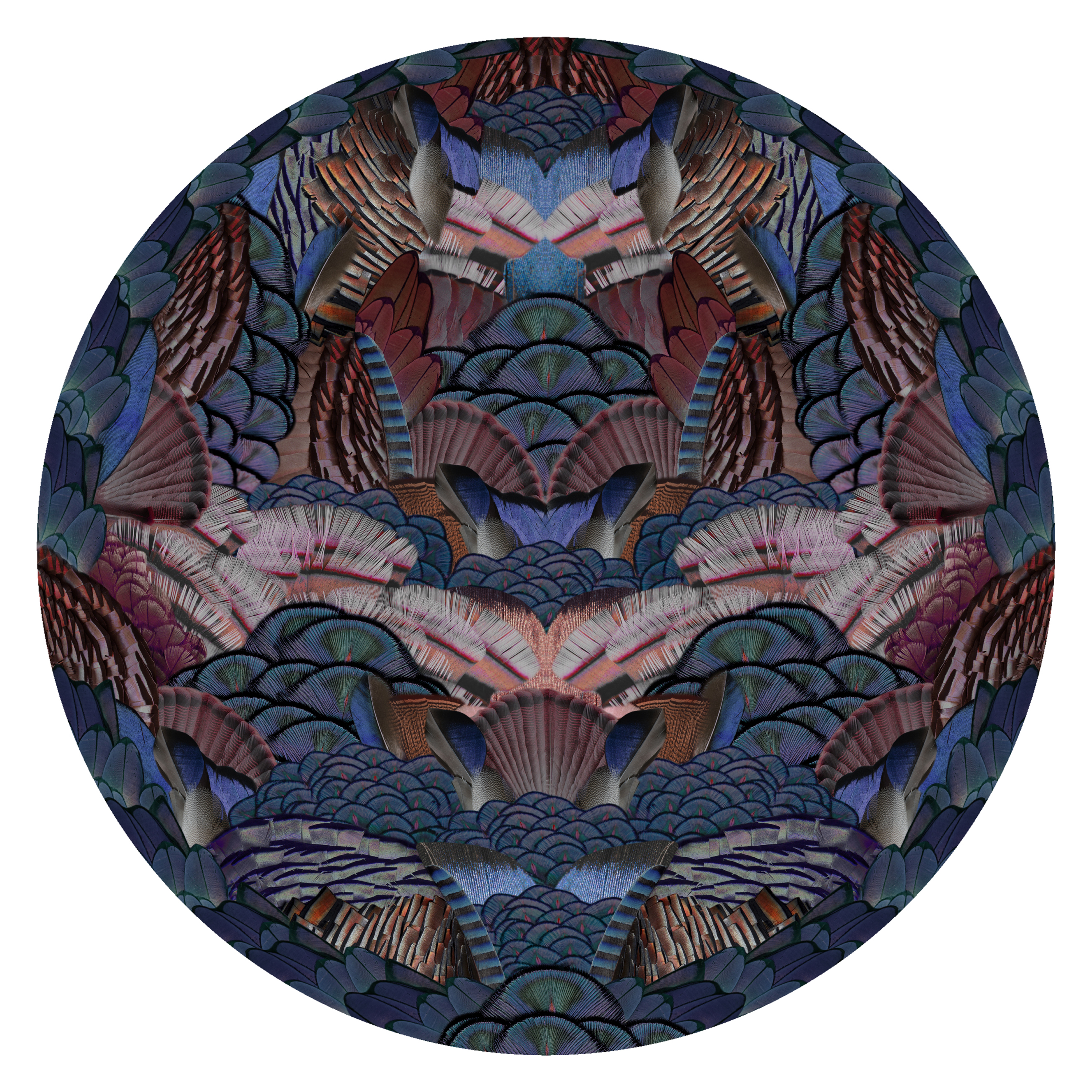 Extinct Animals Carpet | Moooi Carpets | Rypen