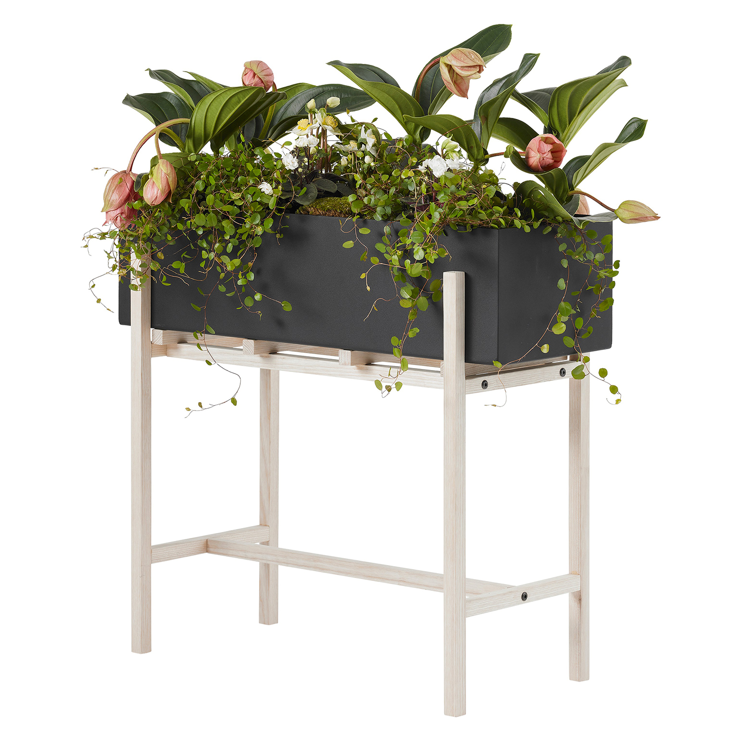 Botanic Pedestal Stand | Design House Stockholm | Rypen